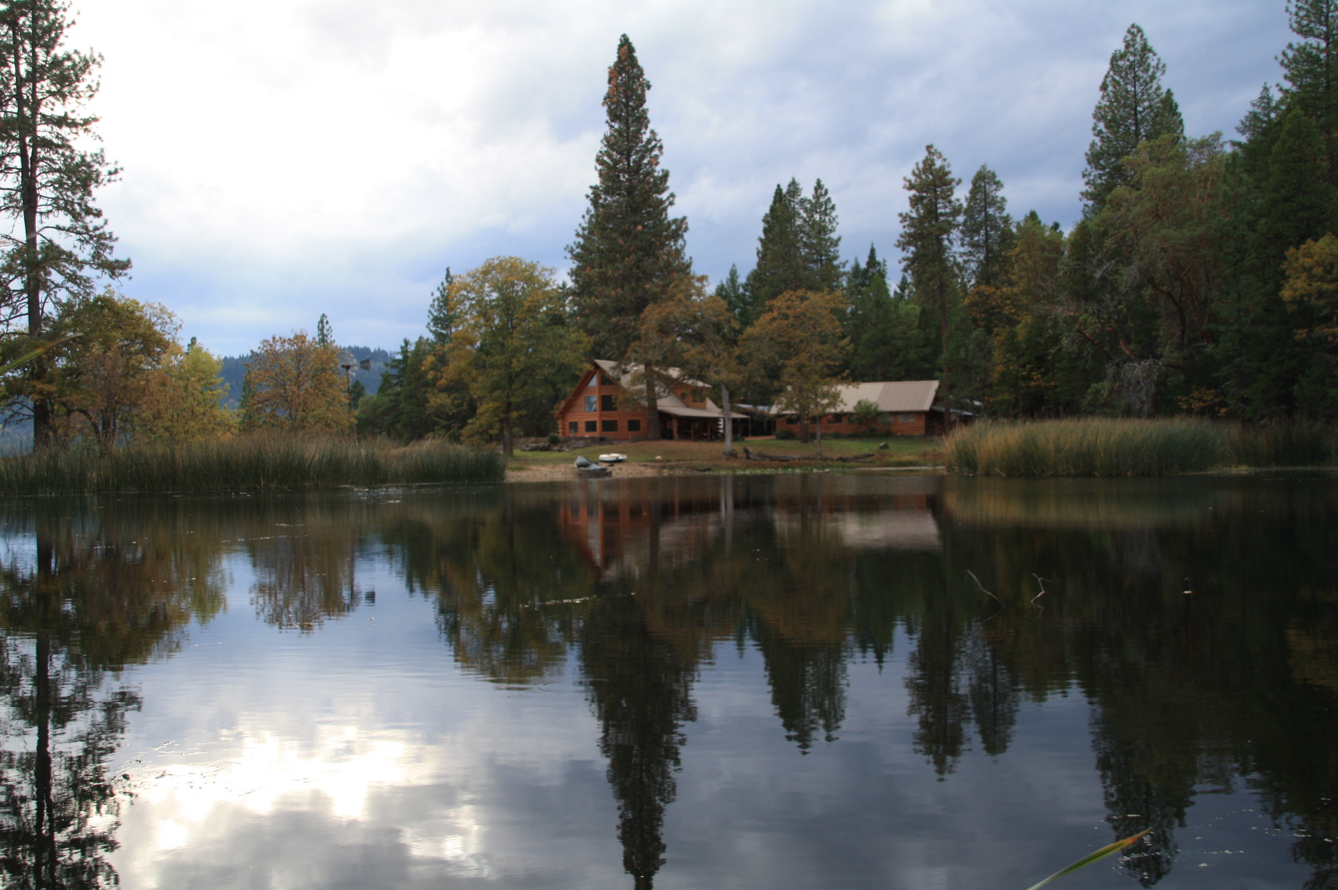 Finest Oregon Hardwoods - Frison Logue Hardwoods
