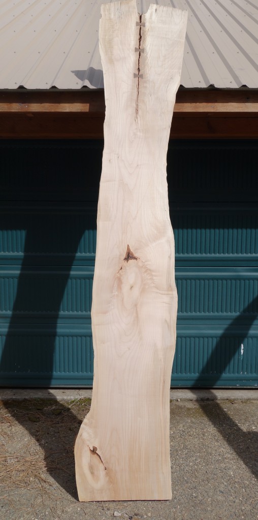 Big Leaf Maple Table Slab - Frison-Logue Hardwoods