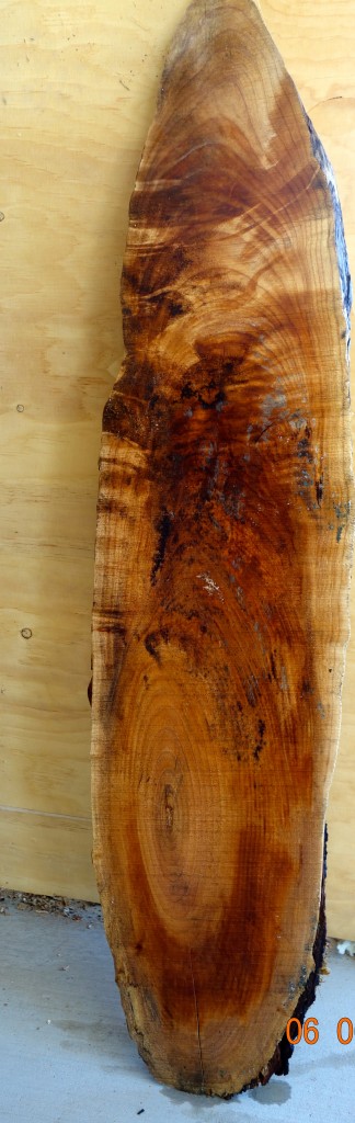 Live Edge Maple Wood Slab - Frison-Logue Hardwoods