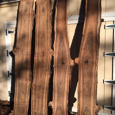 Live Edge Spalted Red Alder Wood Slabs - bookmatched - Frison-Logue ...