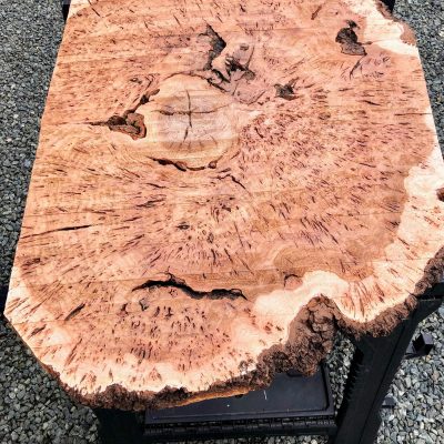 Elm Burl Wood - Frison-Logue Hardwoods