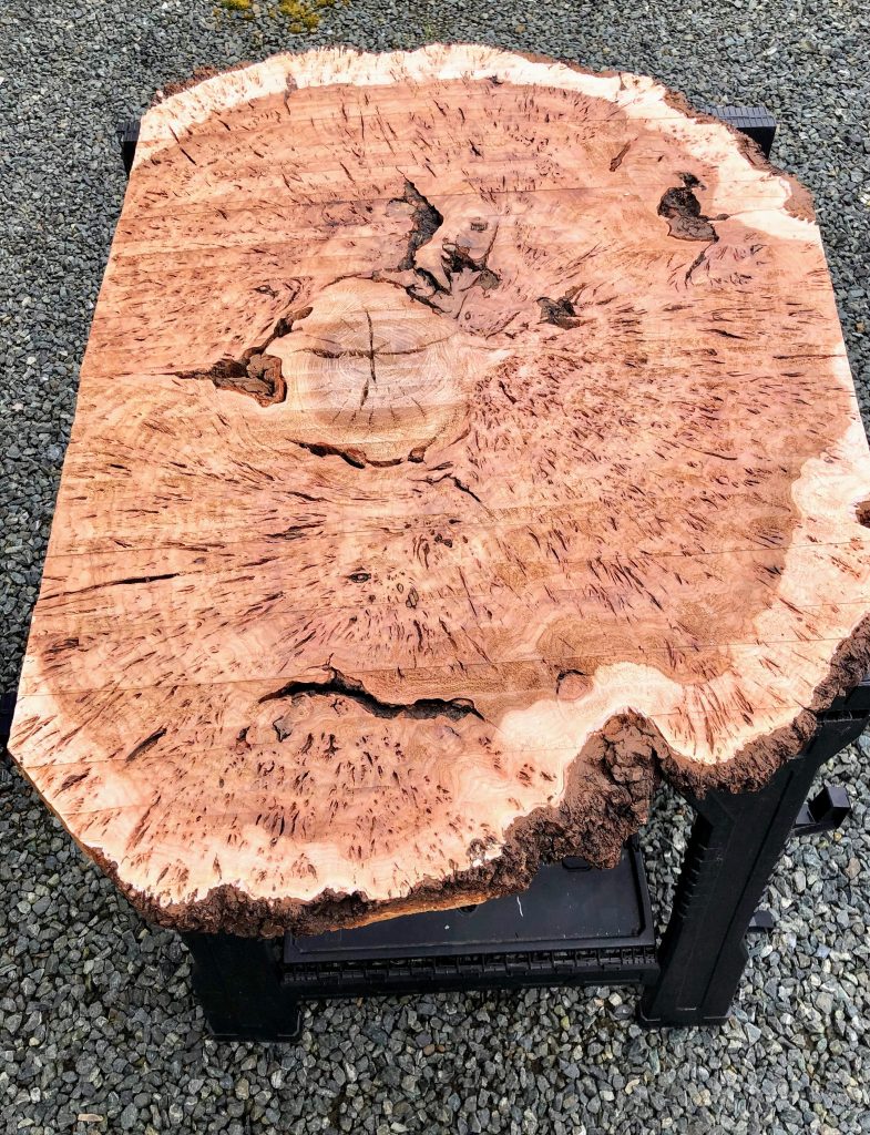 Elm Burl Wood - Frison-Logue Hardwoods