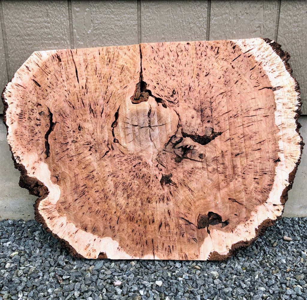 Elm Burl Wood - Frison-Logue Hardwoods