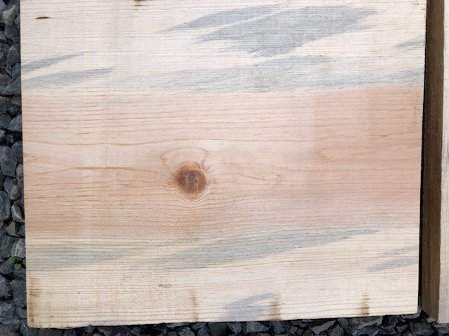 Blue Stain Pine - Package of 3 End Cuts- 18 1/2' - 7" length - varied ...