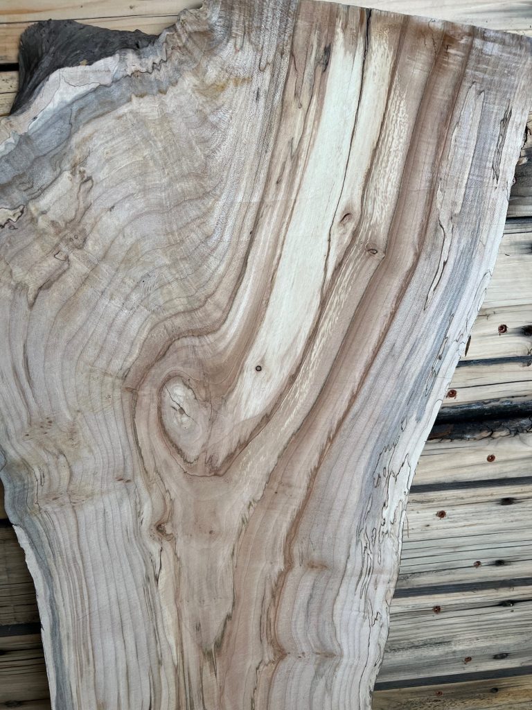 Maple Wood Slab | Live Edge | Kiln Dried - Frison-Logue Hardwoods