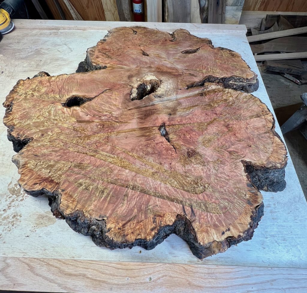 Maple Burl Slab | Live Edge | Kiln Dried - Frison-Logue Hardwoods