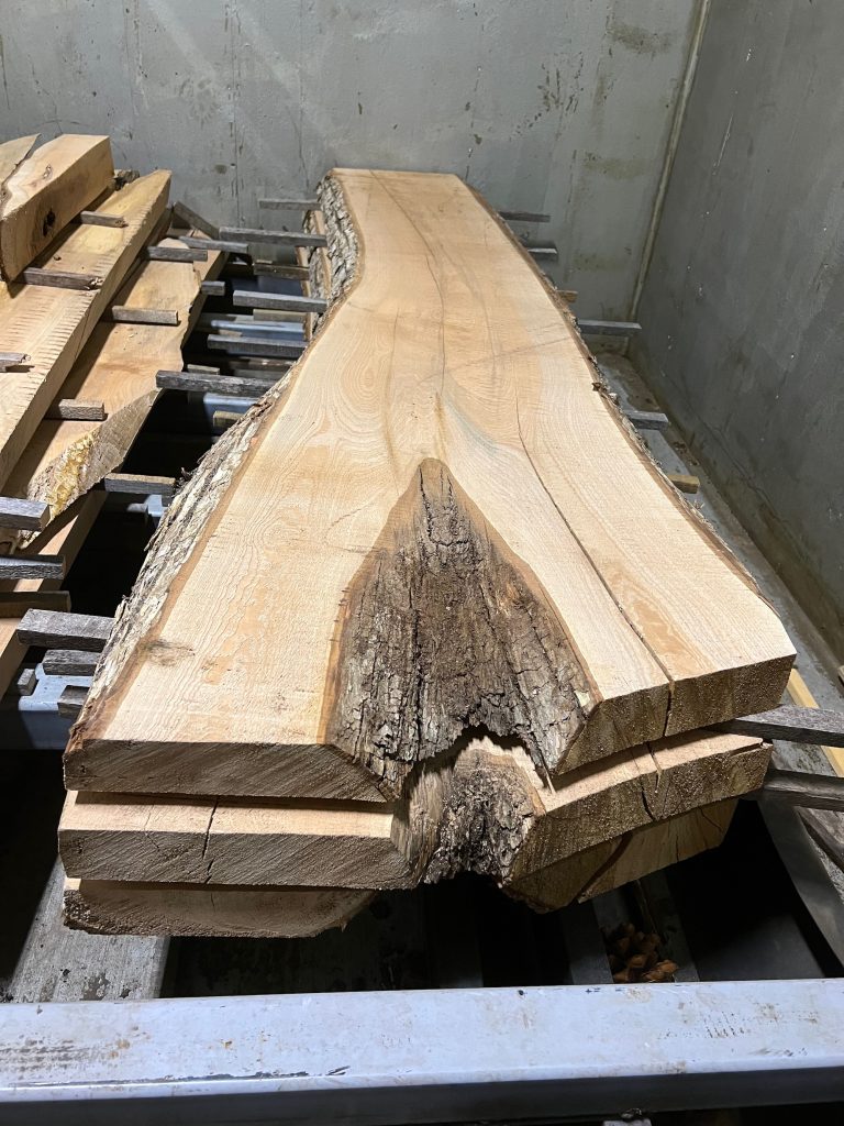 Maple Wood Slabs | Live Edge | Kiln Dried - Frison-Logue Hardwoods