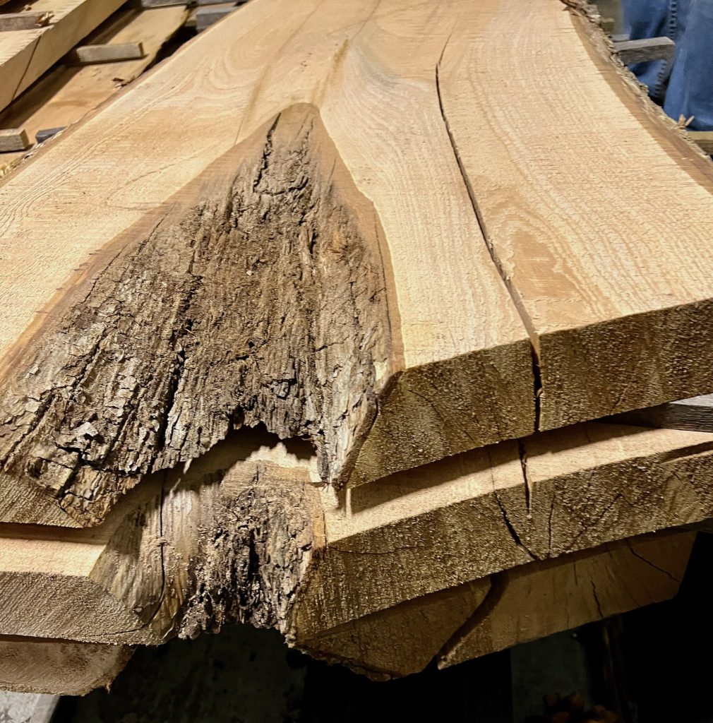 Maple Wood Slabs | Live Edge | Kiln Dried - Frison-Logue Hardwoods