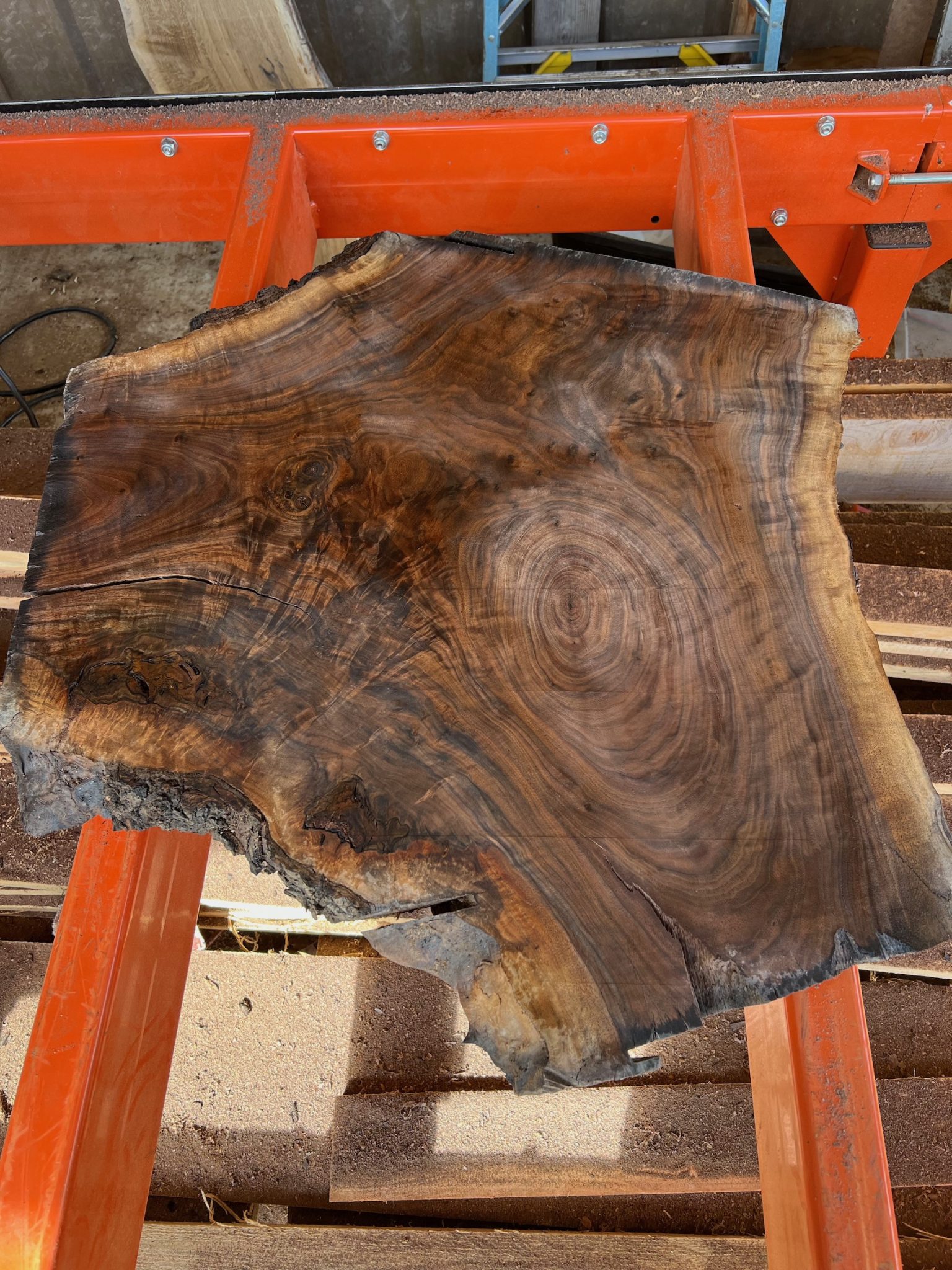 Walnut Wood Slab 30" x 25 1/2" x 1 1/2" - Frison-Logue Hardwoods