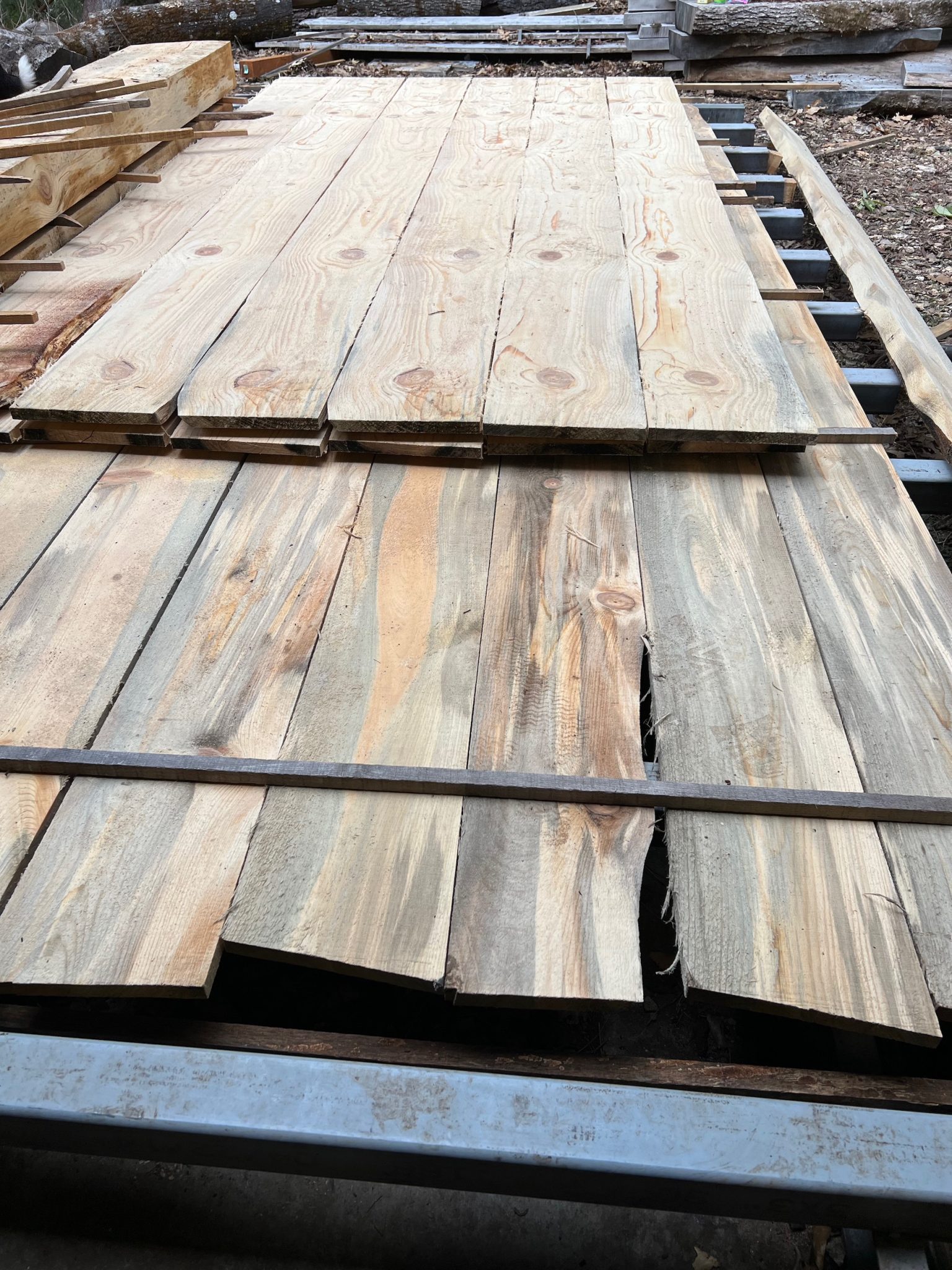 Blue Stain Pine Lumber - Variety of Sizes - Frison-Logue Hardwoods