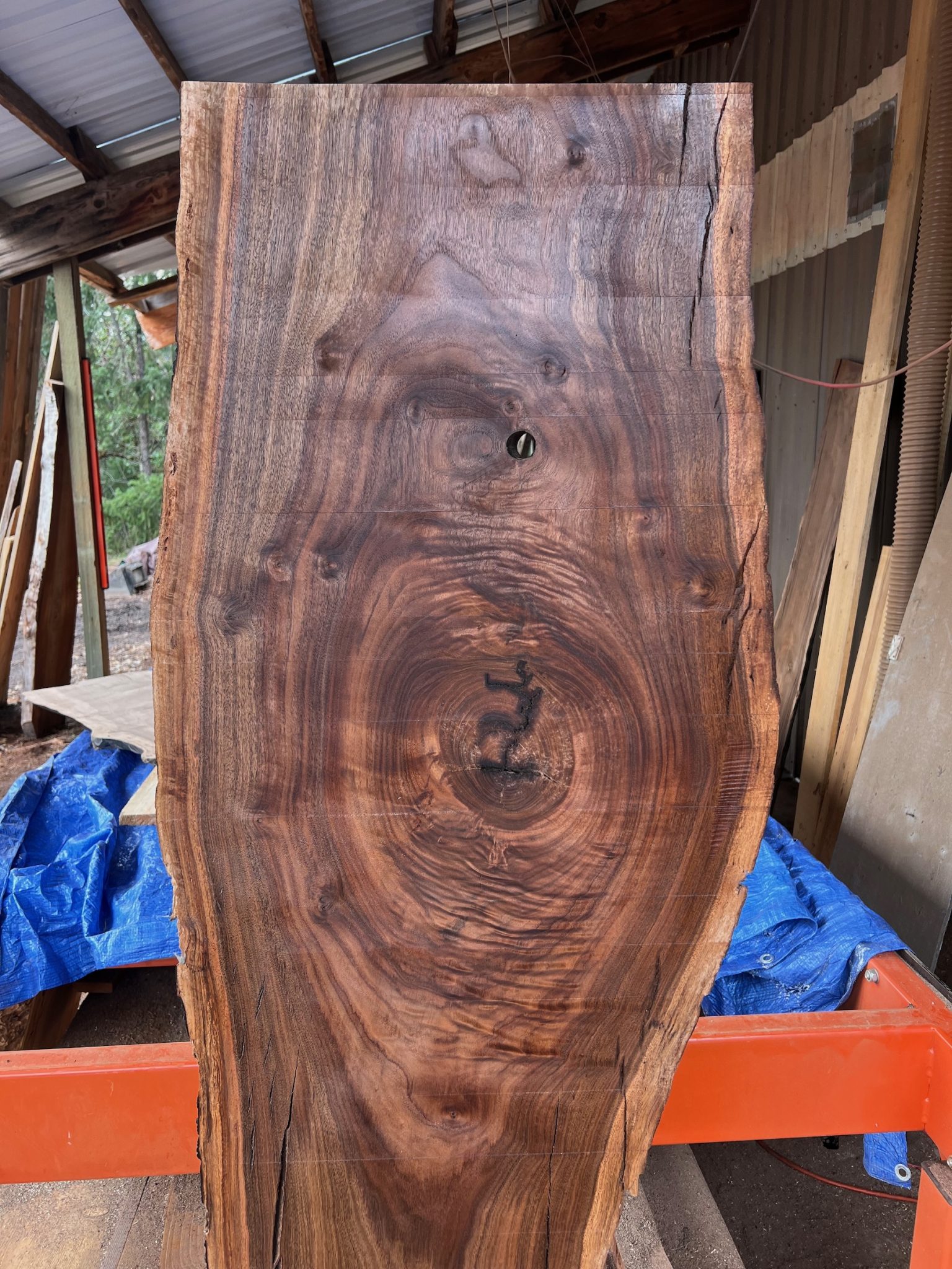 Walnut Wood Slab 73 1/2” x 22” x 1 5/8” - Frison-Logue Hardwoods