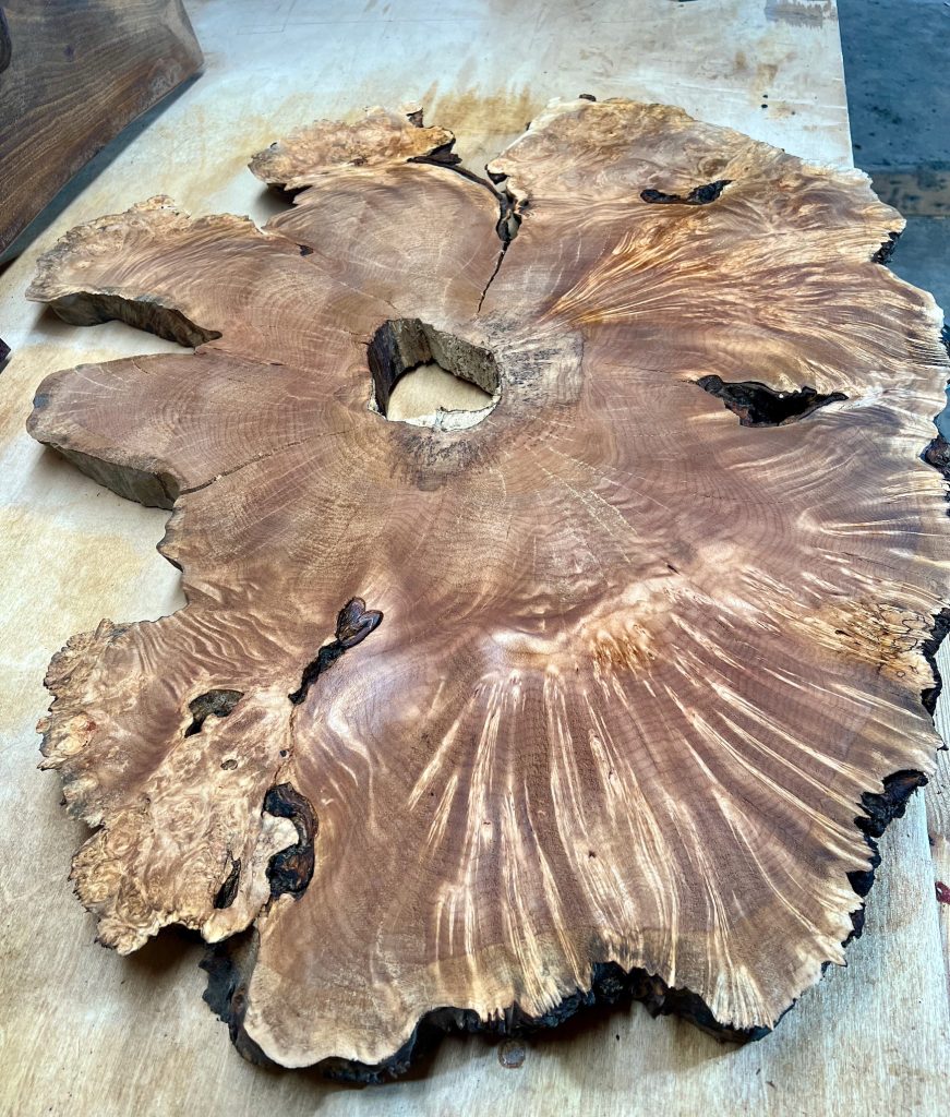 Maple Burl Slab | Live Edge | Kiln Dried 31-36" x 1 3/4" - Frison-Logue ...